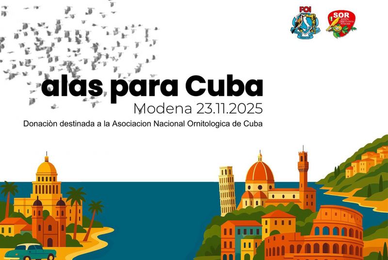 Ali per Cuba - ultimo aggiornamento - News - F.O.I. FEDERAZIONE ...